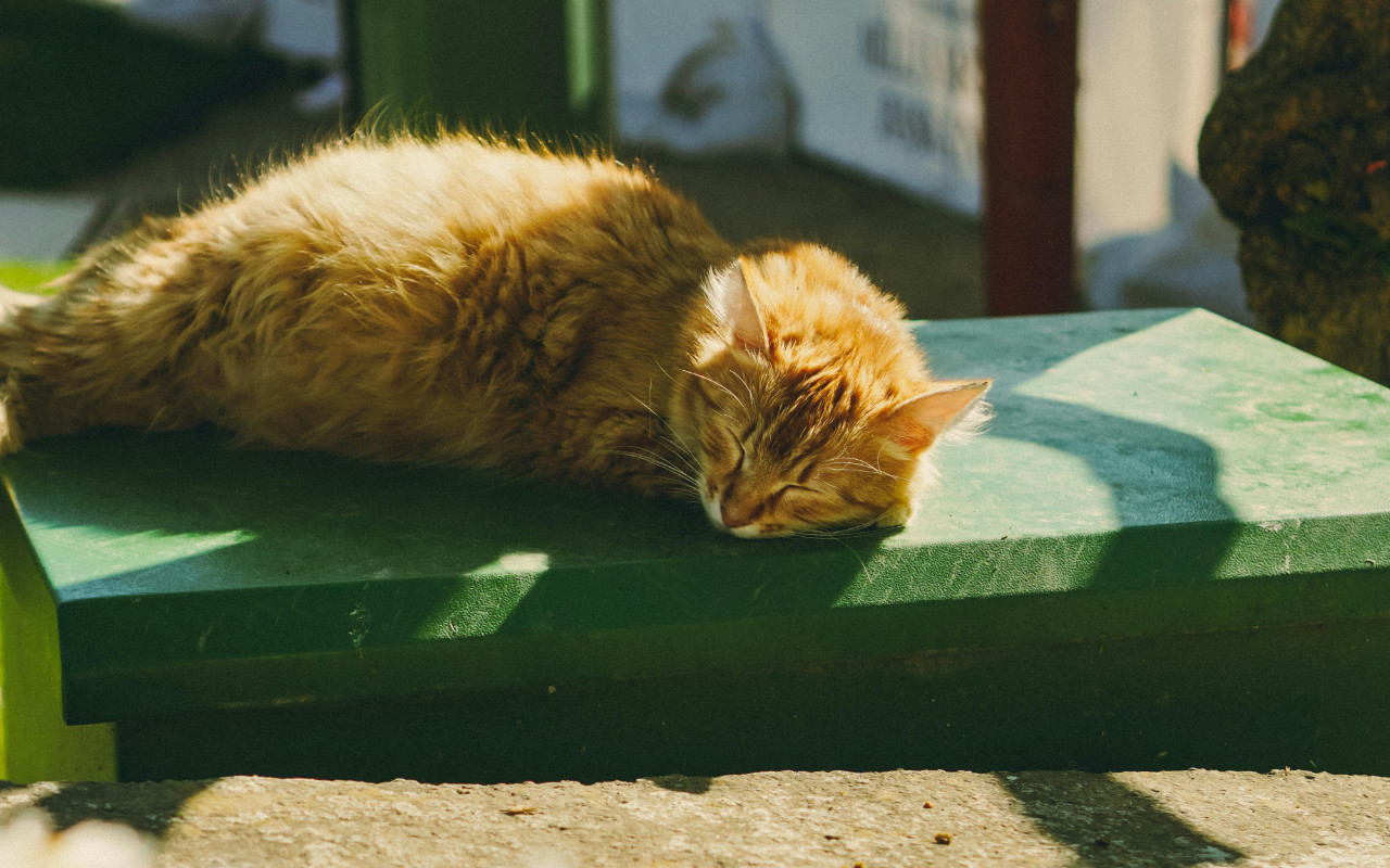 Najbolje sredstvo za odčepljivanje odvoda - Top 5 proizvoda